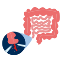 Admission – Jallah Academy